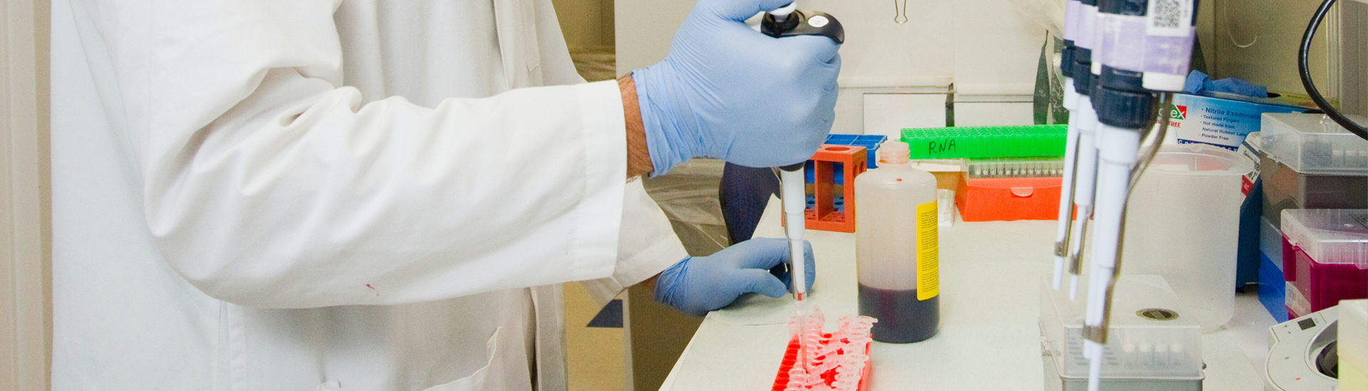 Laboratory Analysis | Politécnico de Leiria